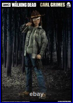 Threezero 1/6 Scale Walking Dead Carl Grimes Normal Ver Action Figure ...
