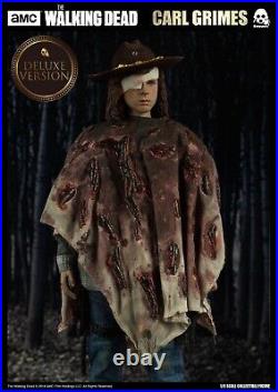 Threezero 1/6 Scale Walking Dead Carl Grimes Normal Ver Action Figure ...